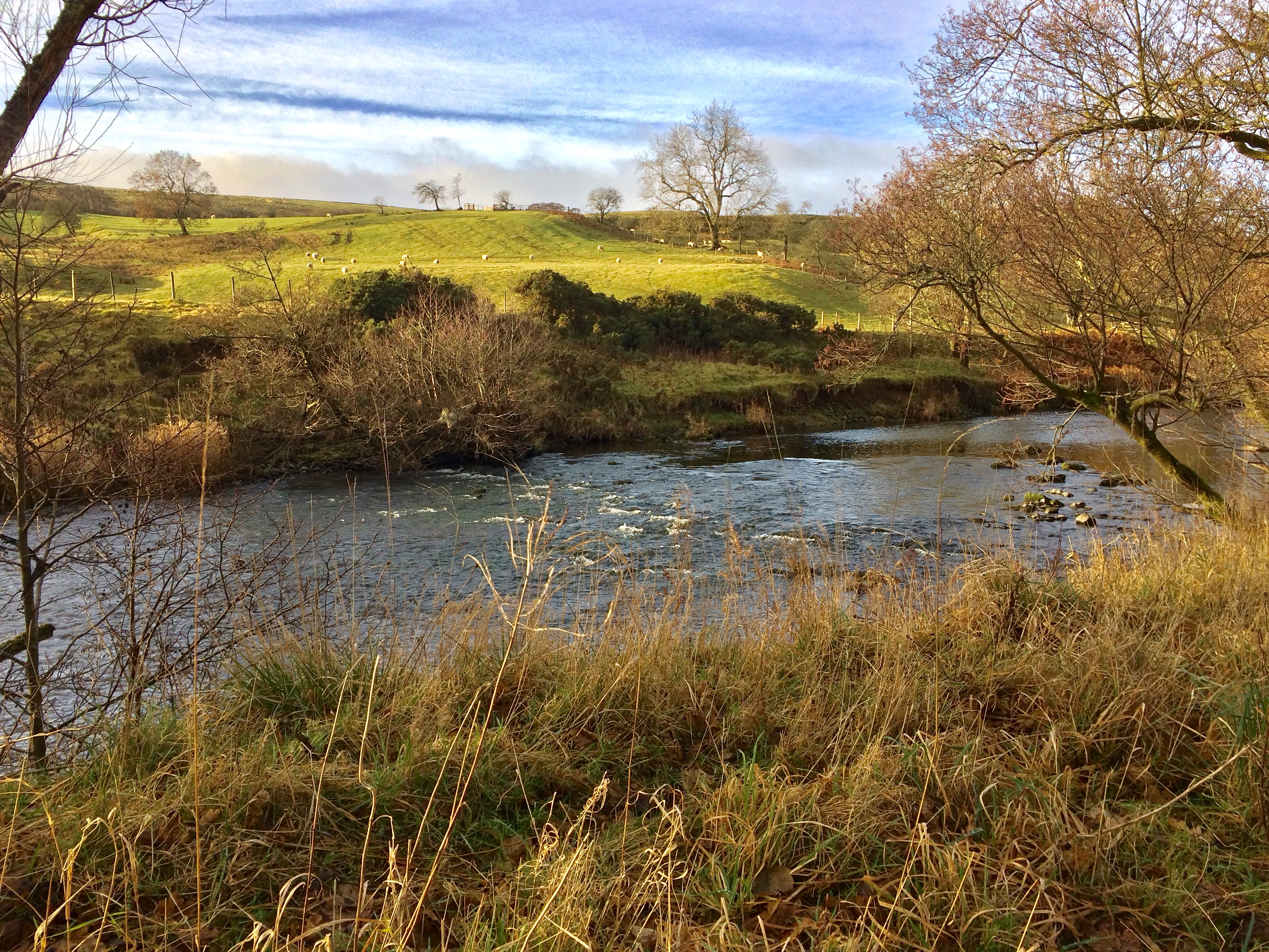 Rothbury Racecourse Horses River Cataract Nile